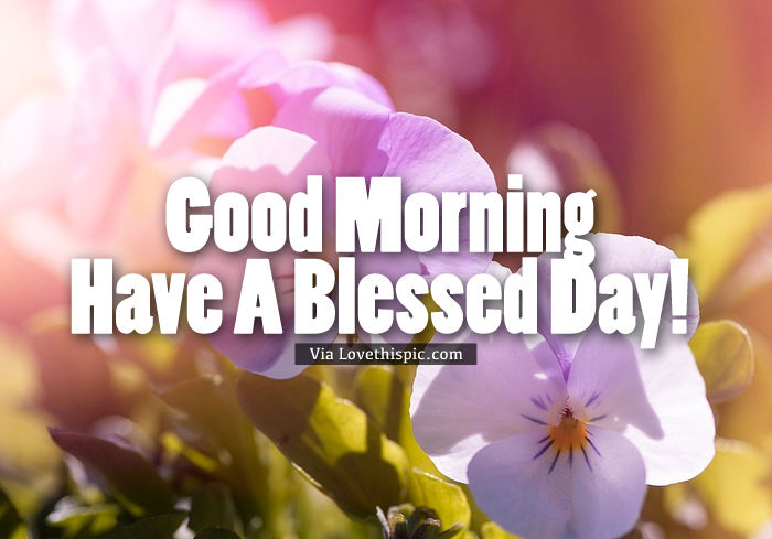 Good Morning, Have A Blessed Day Violet Pansy Quote Pictures, Photos ...