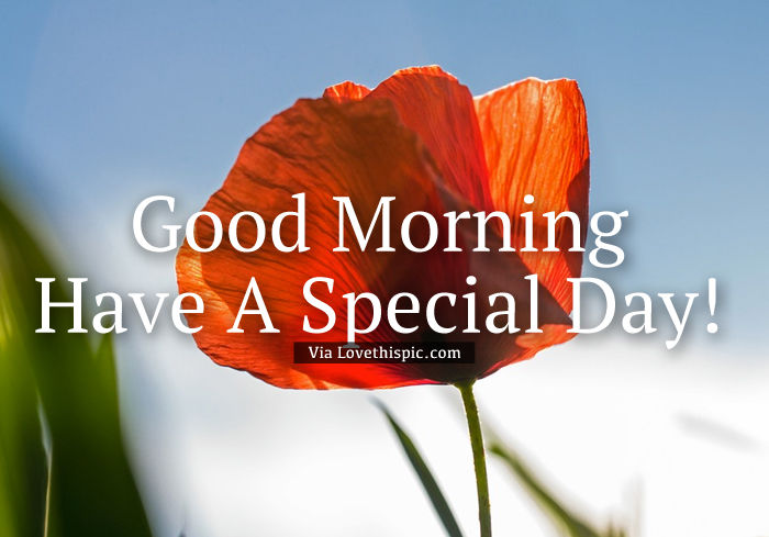 Have A Special Day! Pictures, Photos, and Images for Facebook, Tumblr ...