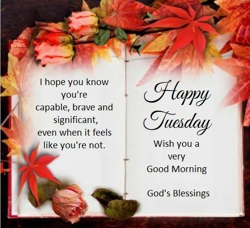 Roses & Leaves Happy Tuesday Quote Pictures, Photos, and Images for ...