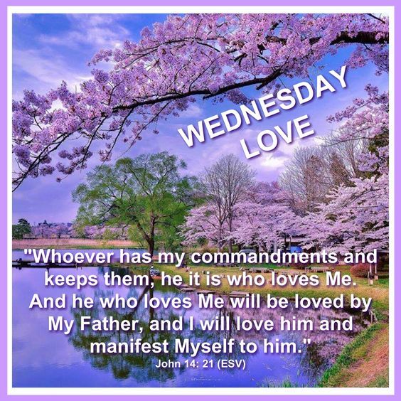 Love For Wednesday Pictures, Photos, and Images for Facebook, Tumblr ...