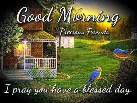 I Pray You Have A Blessed Day, Good Morning Precious Friends Pictures ...