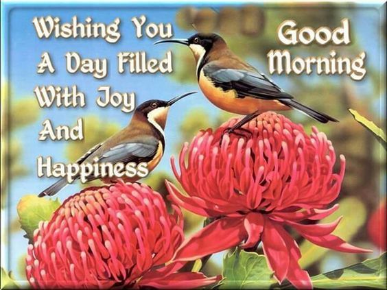 Wishing You A Day Filled With Joy And Happiness, Good Morning Pictures ...