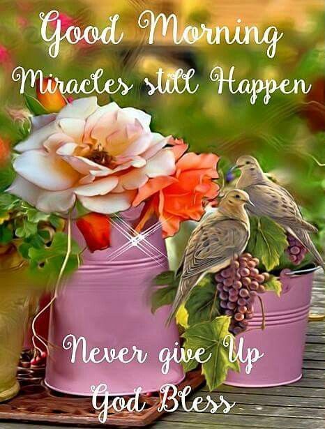 Miracles Still Happen, Good Morning Pictures, Photos, and Images for ...