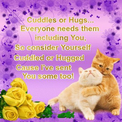 Cuddles Or Hugs...everyone Needs Them, Including You! Pictures, Photos ...