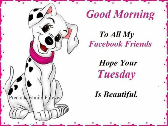 To All My Facebook Friends, I Hope Your Tuesday Is Beautiful Pictures ...