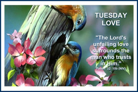 Tuesday Love Pictures, Photos, and Images for Facebook, Tumblr ...