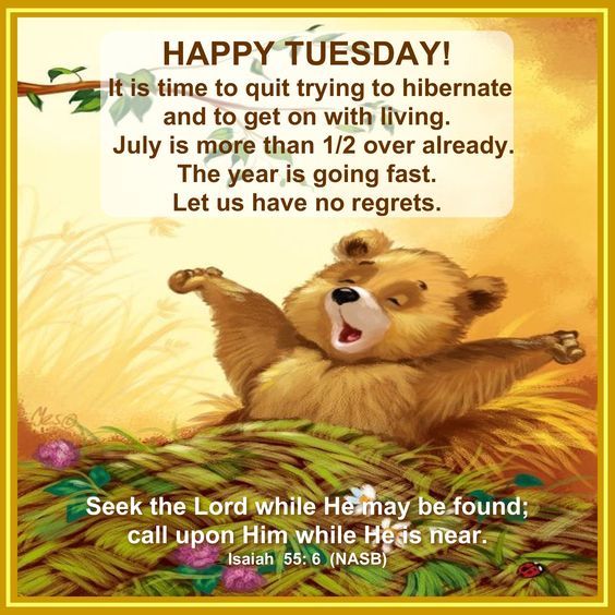 Waking Bear Happy Tuesday Pictures, Photos, and Images for Facebook ...