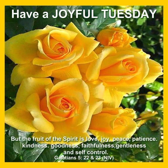 Joyful Tuesday Pictures, Photos, and Images for Facebook, Tumblr ...