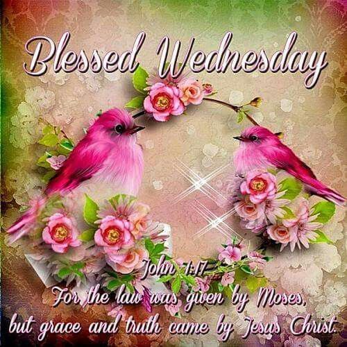 Graceful Bird Wednesday Quote Pictures, Photos, and Images for Facebook ...