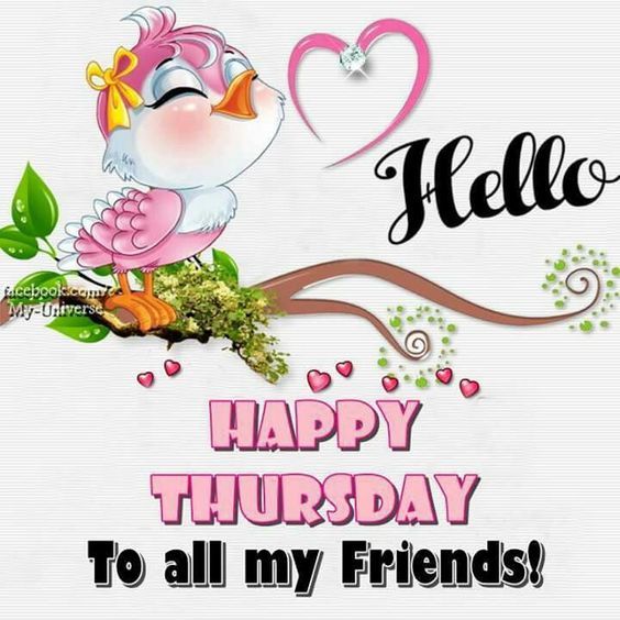 Hello Bird Thursday Friend Quote Pictures, Photos, and Images for ...