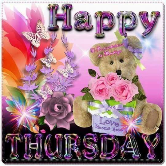 Cute Bear Thursday Quote Pictures, Photos, and Images for Facebook ...