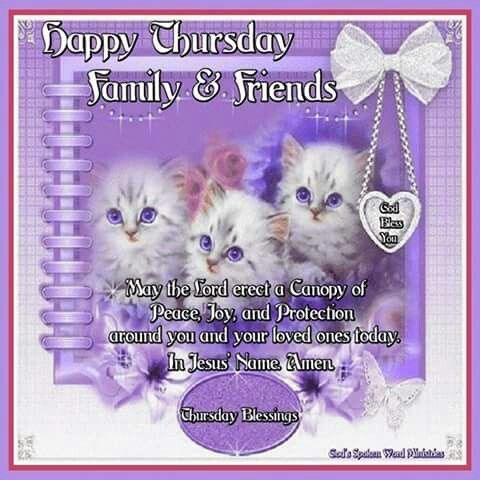 Three Kitty Happy Thursday Pictures, Photos, and Images for Facebook ...