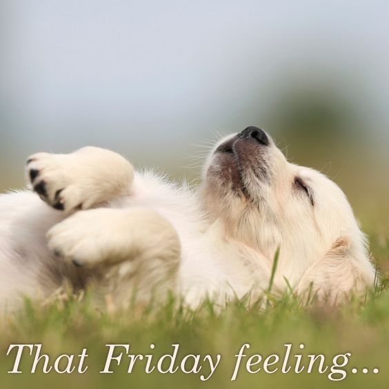 That Friday Feeling... Pictures, Photos, and Images for Facebook ...