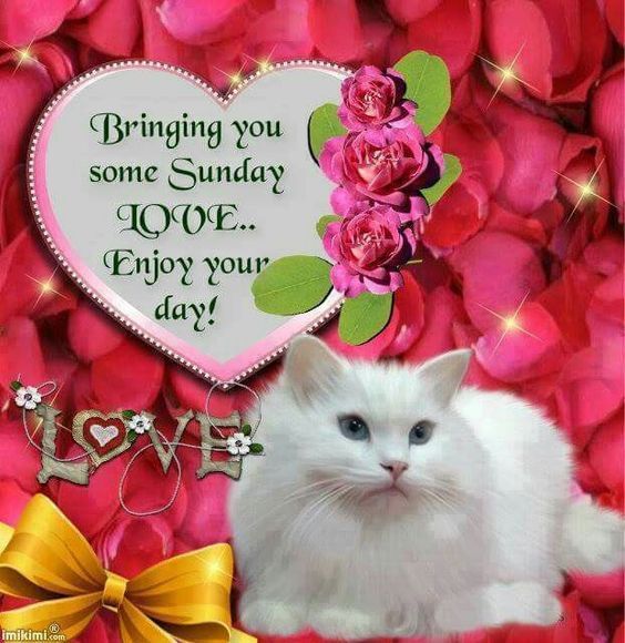 Enjoy The Sunday Love Pictures, Photos, and Images for Facebook, Tumblr ...