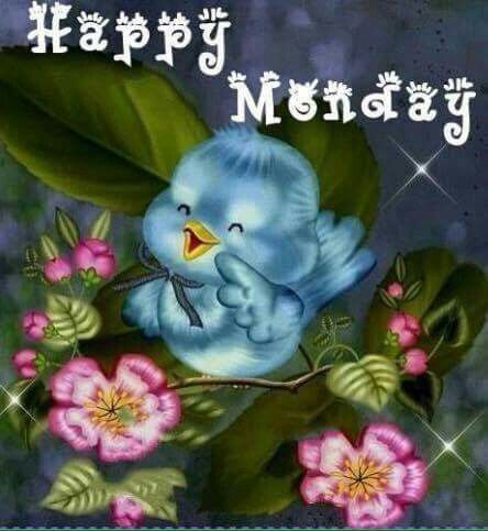 Smiling Bird For Happy Monday Pictures, Photos, and Images for Facebook ...