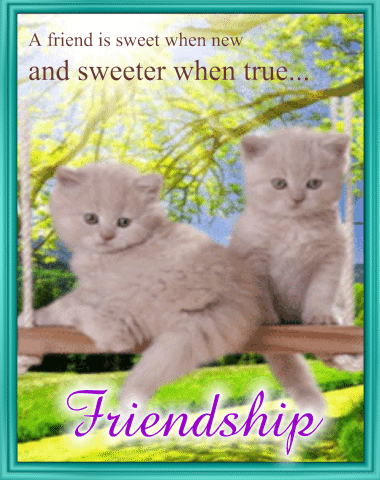 A Friend Is Sweet When New And Sweeter When True... Pictures, Photos ...