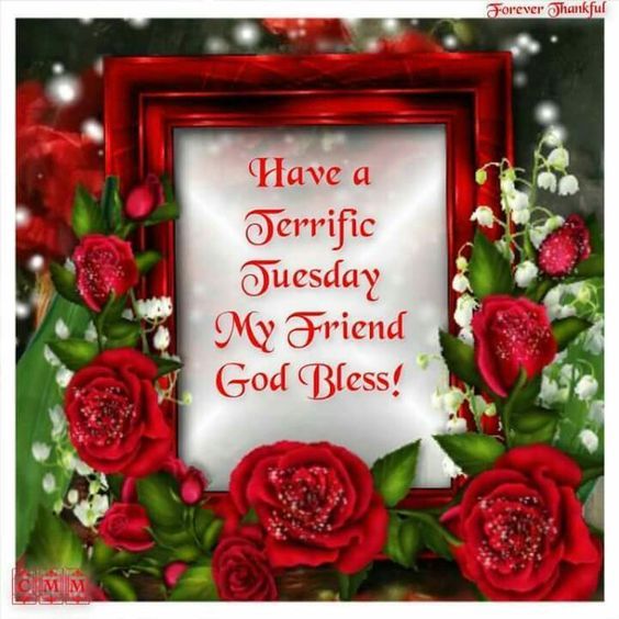 Terrific Rose Tuesday Pictures, Photos, and Images for Facebook, Tumblr ...