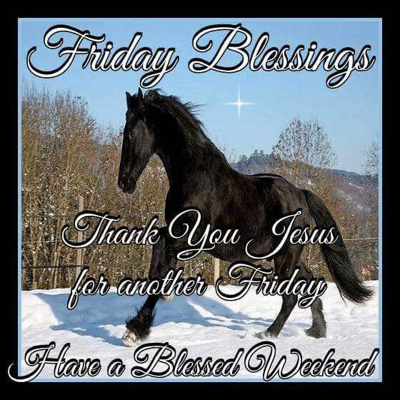 Horse Friday Blessing And Weekend Blessing Pictures, Photos, and Images ...