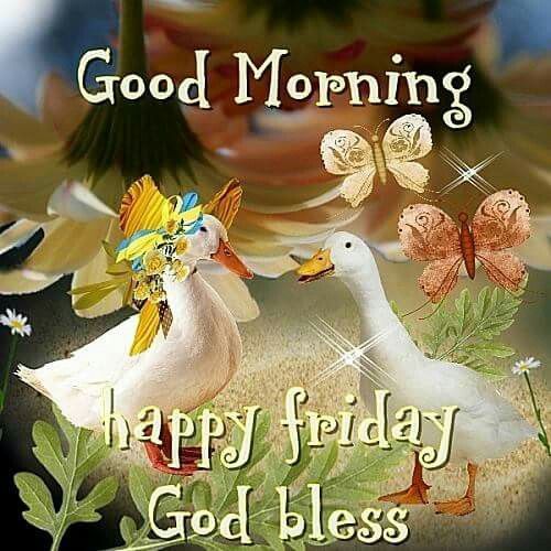 Ducks Happy Friday Pictures, Photos, and Images for Facebook, Tumblr ...