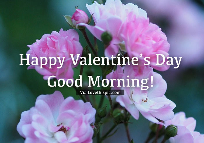 Bloom Good Morning Valentine's Day Pictures, Photos, and Images for ...