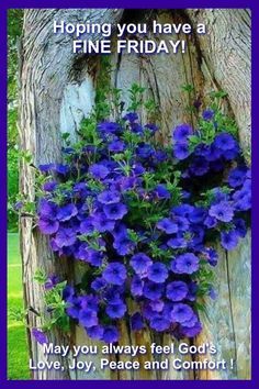 Fine Friday Pictures, Photos, and Images for Facebook, Tumblr ...