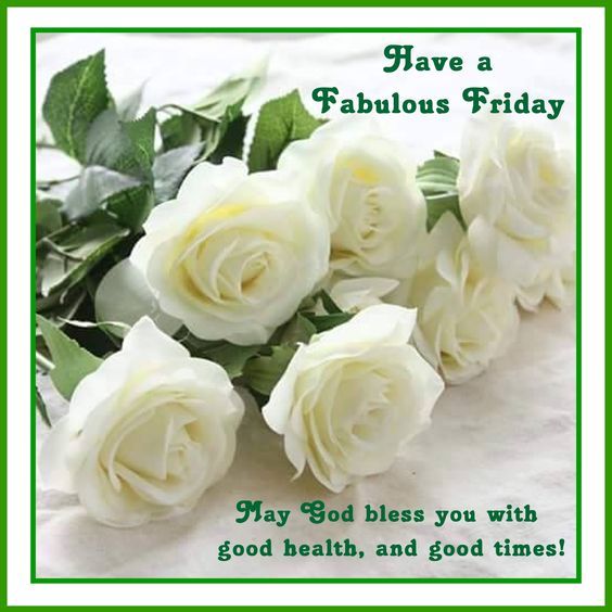 White Rose Fabulous Friday Pictures, Photos, and Images for Facebook ...