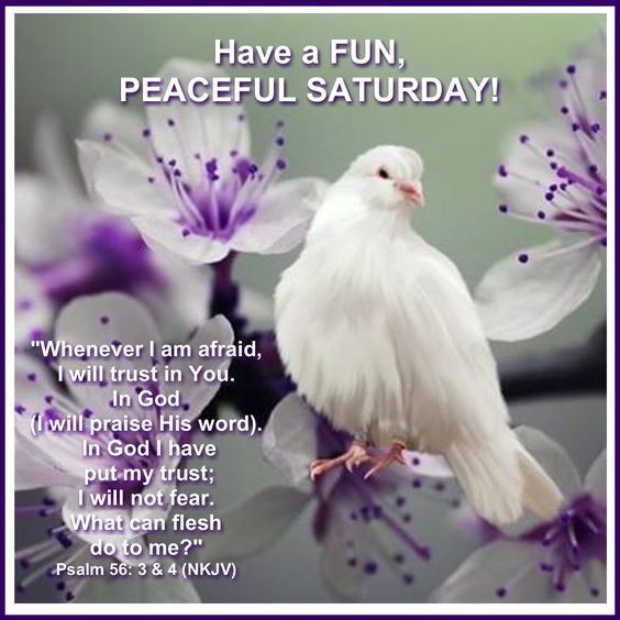 Fun Peaceful Saturday Pictures, Photos, and Images for Facebook, Tumblr ...