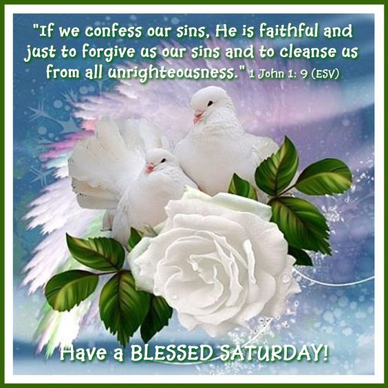 White Dove & Rose Saturday Blessing Pictures, Photos, and Images for ...