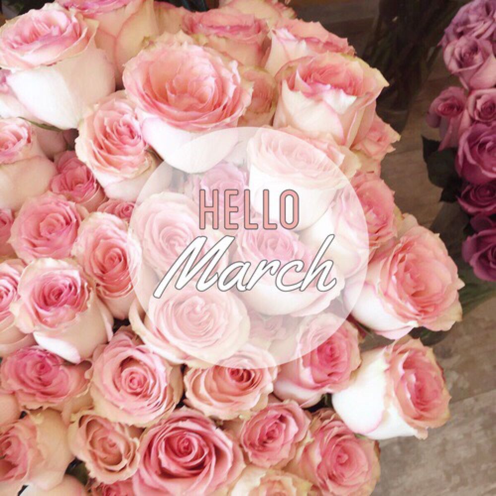 Light Pink Hello March Pictures, Photos, and Images for Facebook ...