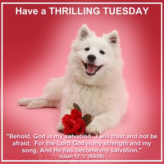 Thrilling Tuesday Pictures, Photos, and Images for Facebook, Tumblr ...