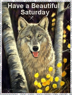 Wolf Beautiful Saturday Gif Pictures, Photos, and Images for Facebook ...