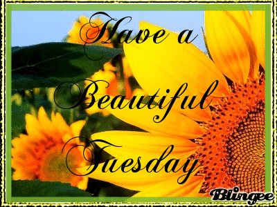 Sunflower Beautiful Tuesday Pictures, Photos, and Images for Facebook ...