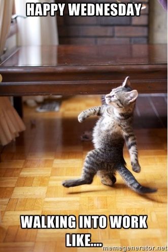 Walking Into Work Like... Pictures, Photos, and Images for Facebook ...