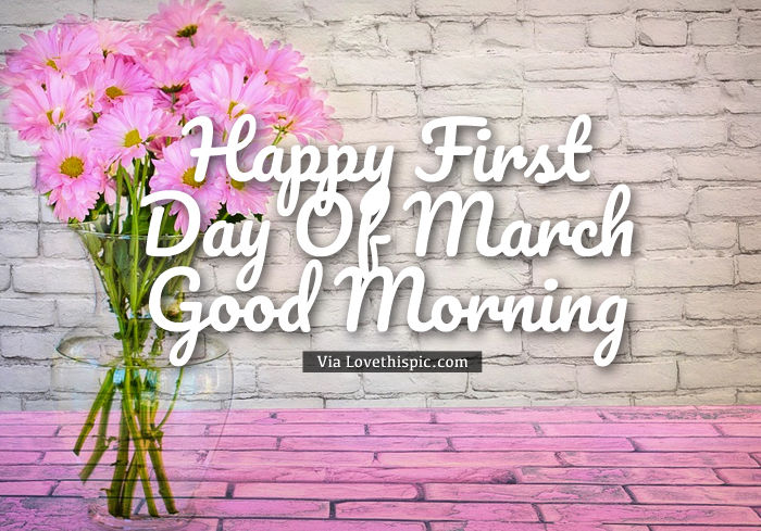 Pink Daisies First Day Of March Image Pictures, Photos, and Images for ...