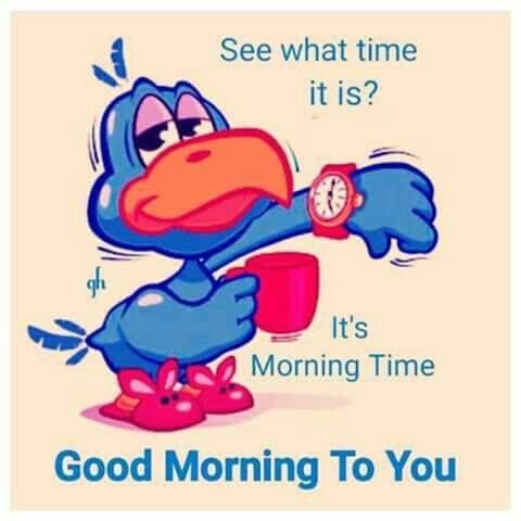 It's Morning Time, Good Morning To You Pictures, Photos, and Images for ...