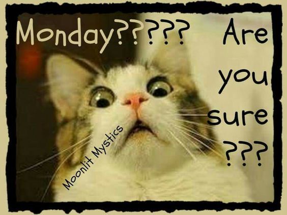 Monday??? Are You Sure??? Pictures, Photos, and Images for Facebook ...