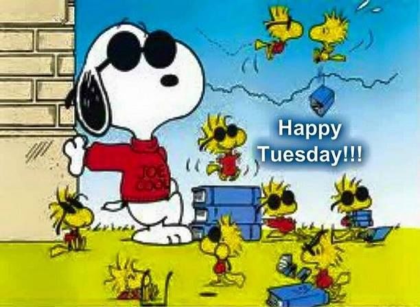 Happy Snoopy Tuesday Pictures, Photos, and Images for Facebook, Tumblr ...