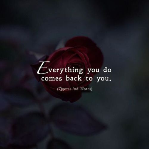 Everything You Do, Comes Back To You Pictures, Photos, and Images for ...