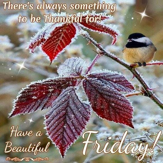 There's Always Something To Be Thankful For, Have A Beautiful Friday ...