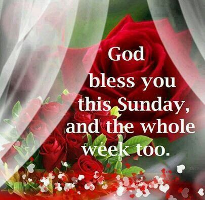 Rose Sunday Blessing Pictures, Photos, and Images for Facebook, Tumblr ...