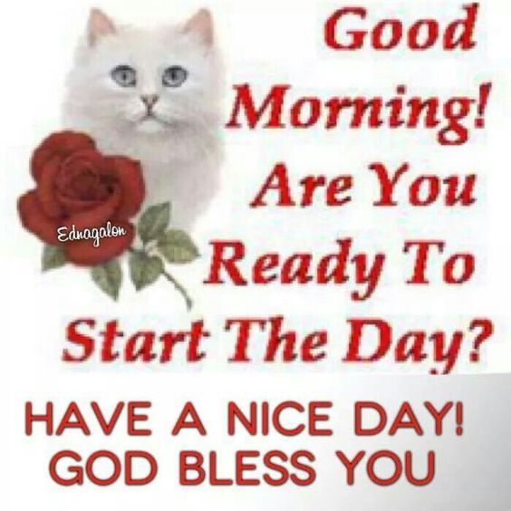 Are You Ready To Start The Day? Good Morning Pictures, Photos, and ...