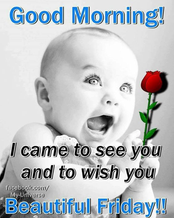 I Came To See You And Wish You A Beautiful Friday Pictures, Photos, and ...