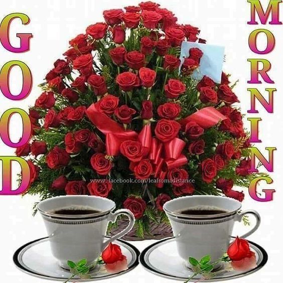 Double Tea Good Morning Quote Pictures, Photos, and Images for Facebook ...