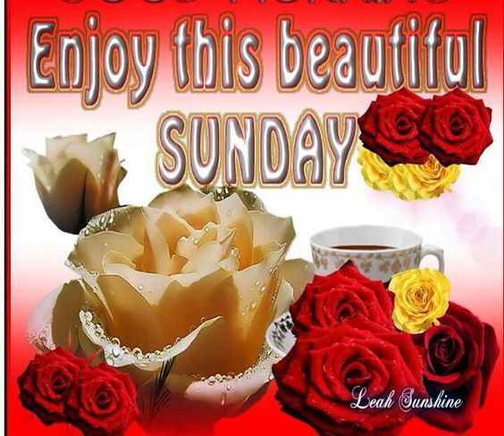 Enjoy This Beautiful Sunday Pictures, Photos, and Images for Facebook ...