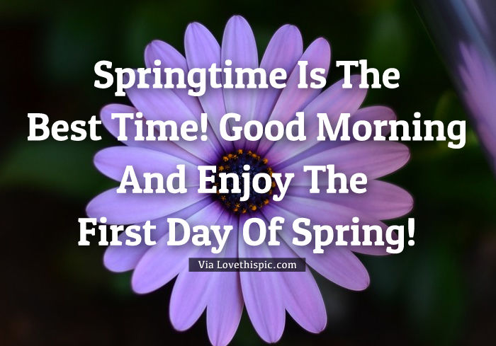 Springtime Is The Best Time! Good Morning And Enjoy The First Day Of ...