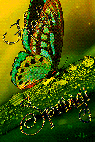 Butterfly Hello Spring Quote Pictures, Photos, and Images for Facebook ...