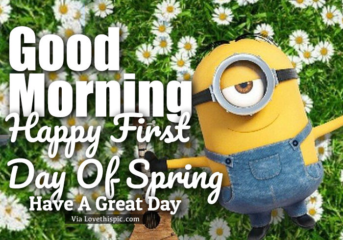 Relaxed Minion Good Morning First Day Of Spring Quote Pictures, Photos ...