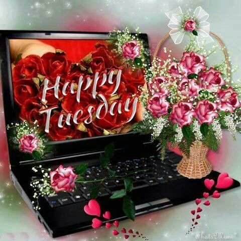 Basket Of Roses Happy Tuesday Pictures, Photos, and Images for Facebook ...