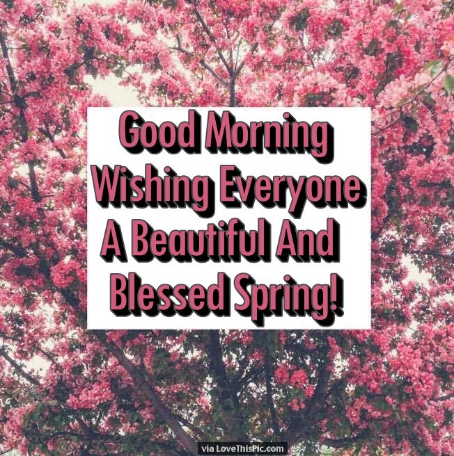 Good Morning Wishing Everyone A Beautiful And Blessed Spring Pictures ...