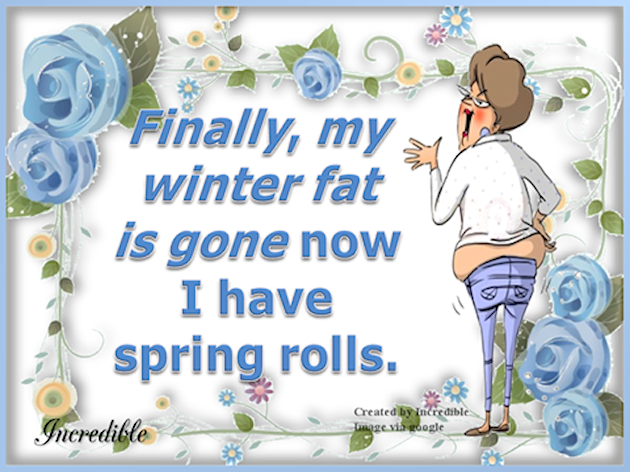 My Winter Fat Is Now Spring Rolls Pictures, Photos, and Images for ...